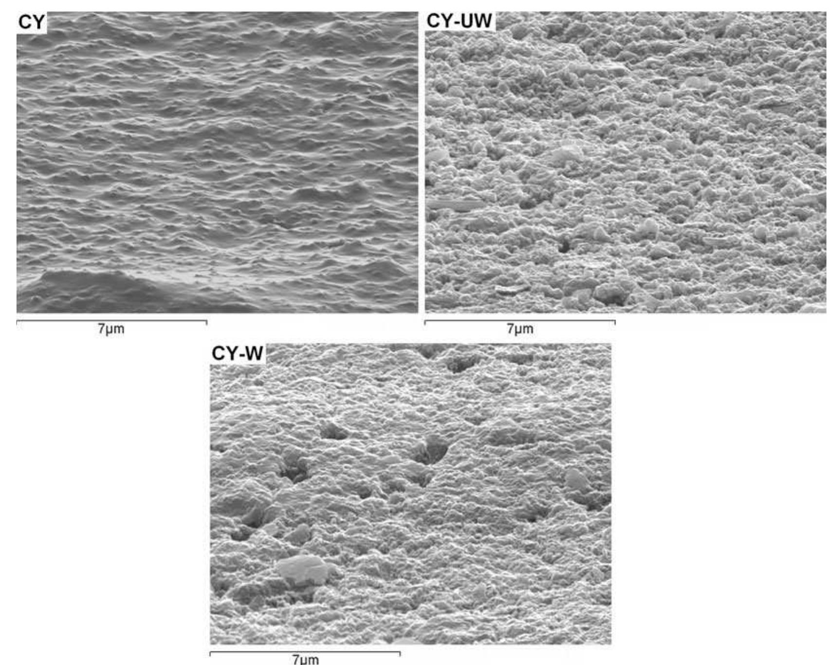 Sem images of cy coating surface before and after weathering