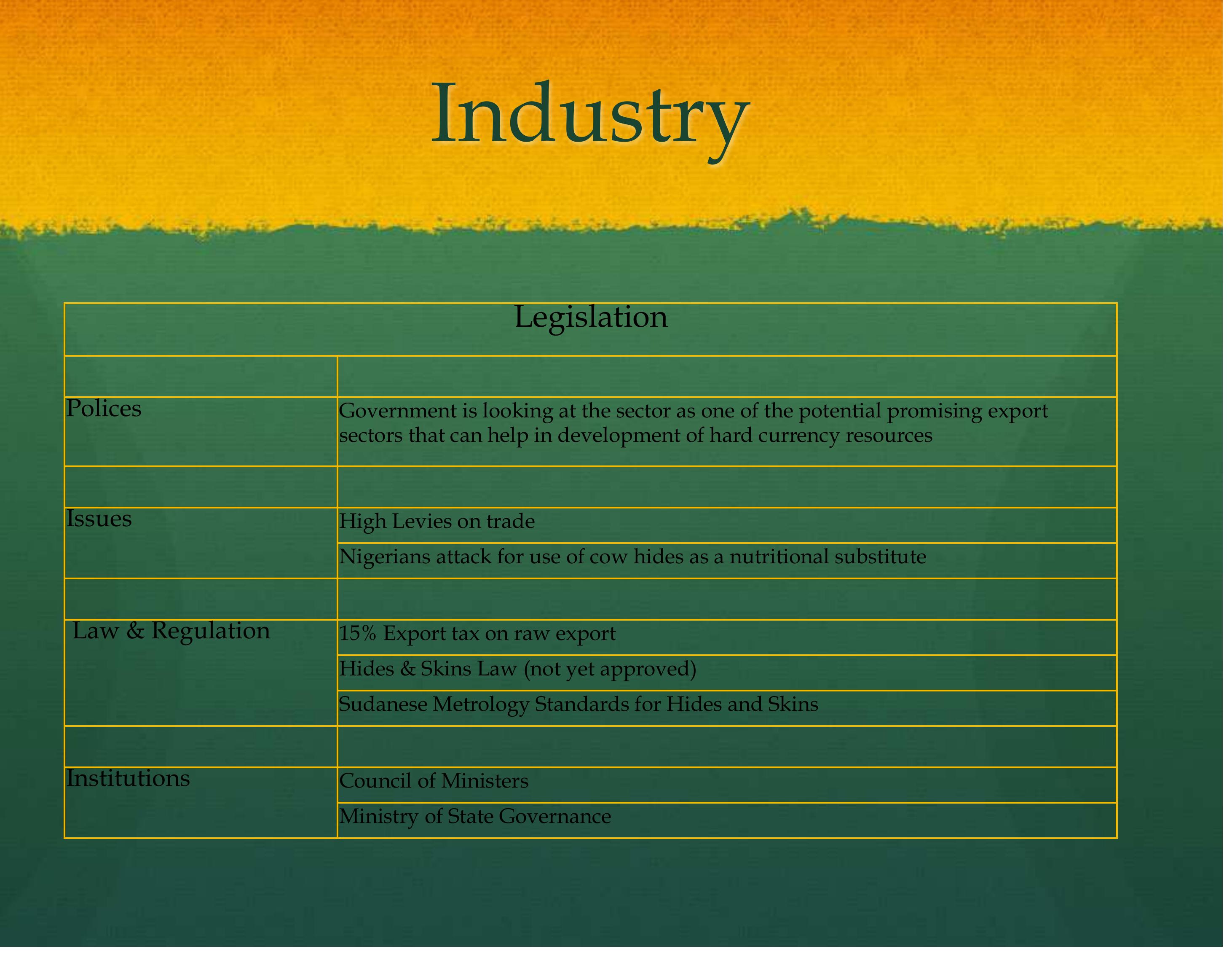Figure 10 - Leather Value chain analysis