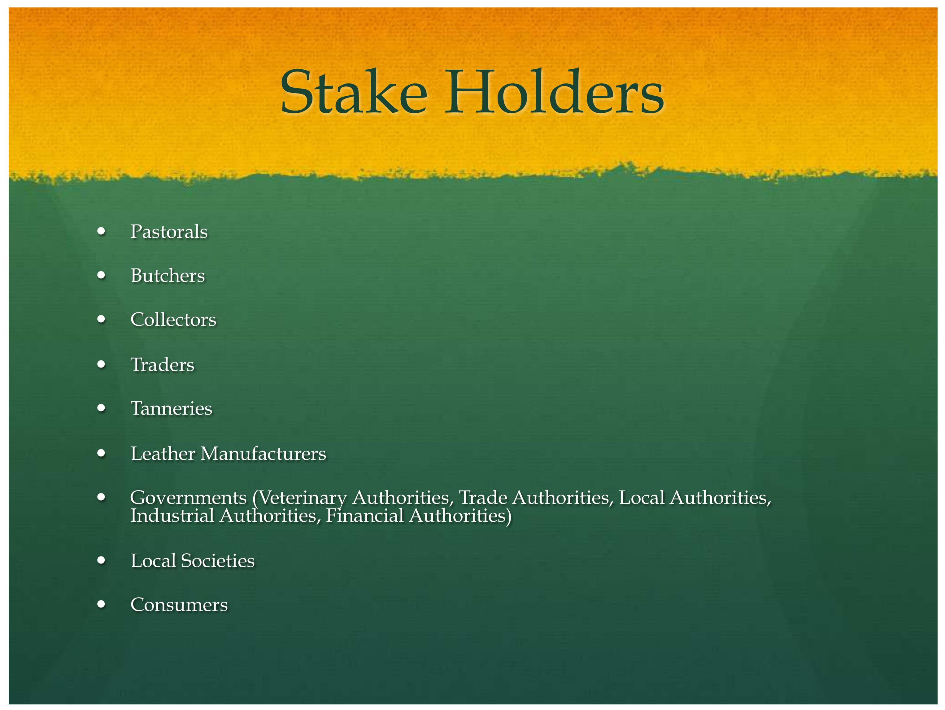 Figure 14 - Leather Value chain analysis