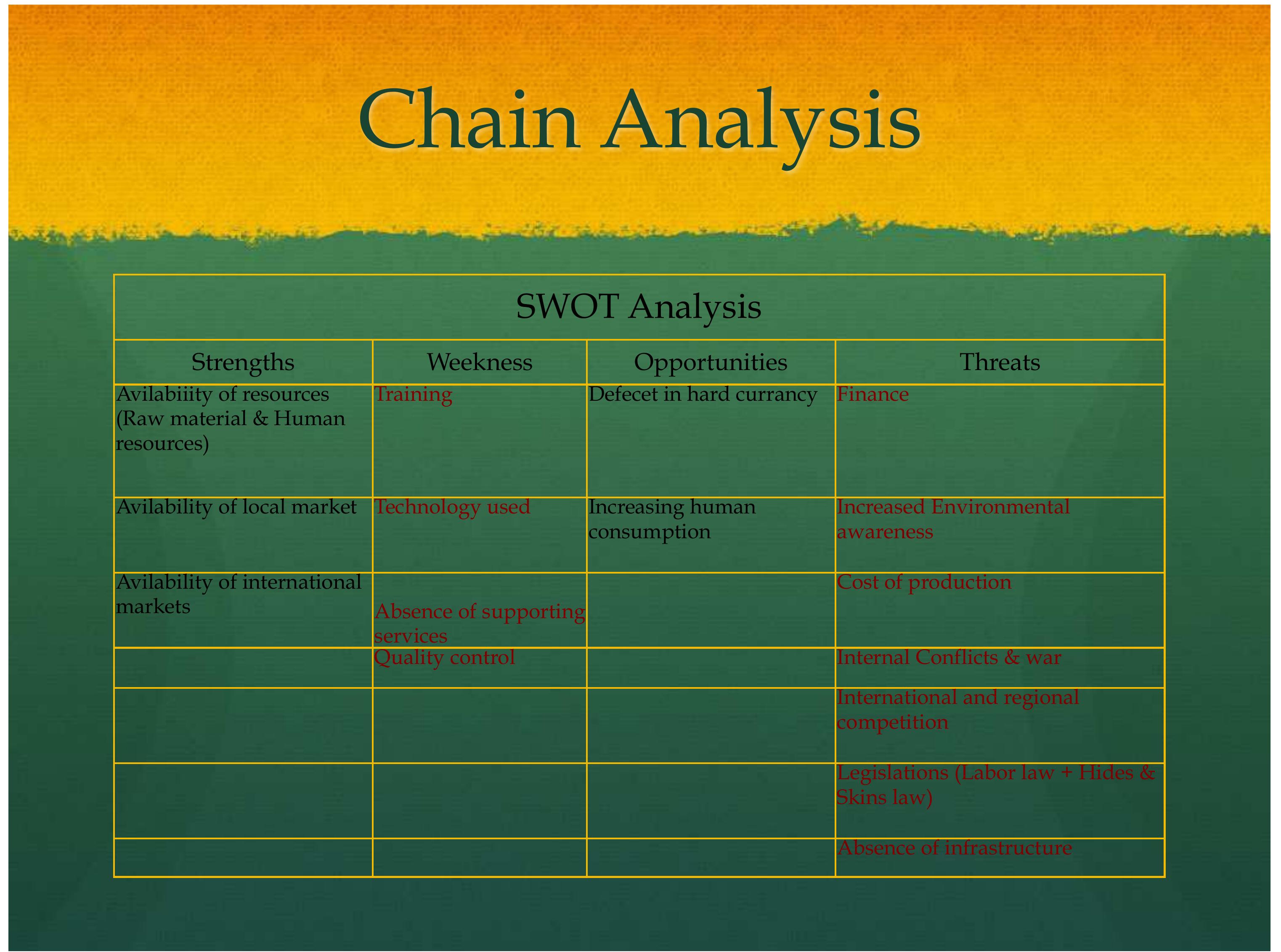 Figure 19 - Leather Value chain analysis