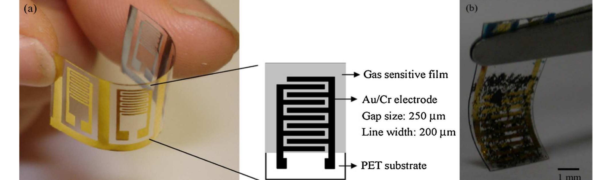 (a) structure of flexible rgo gas sensor; (b) photograph of