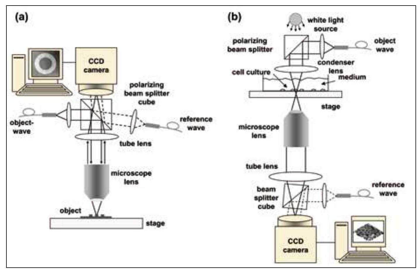 Schematics for digital holographic microscopy using incident