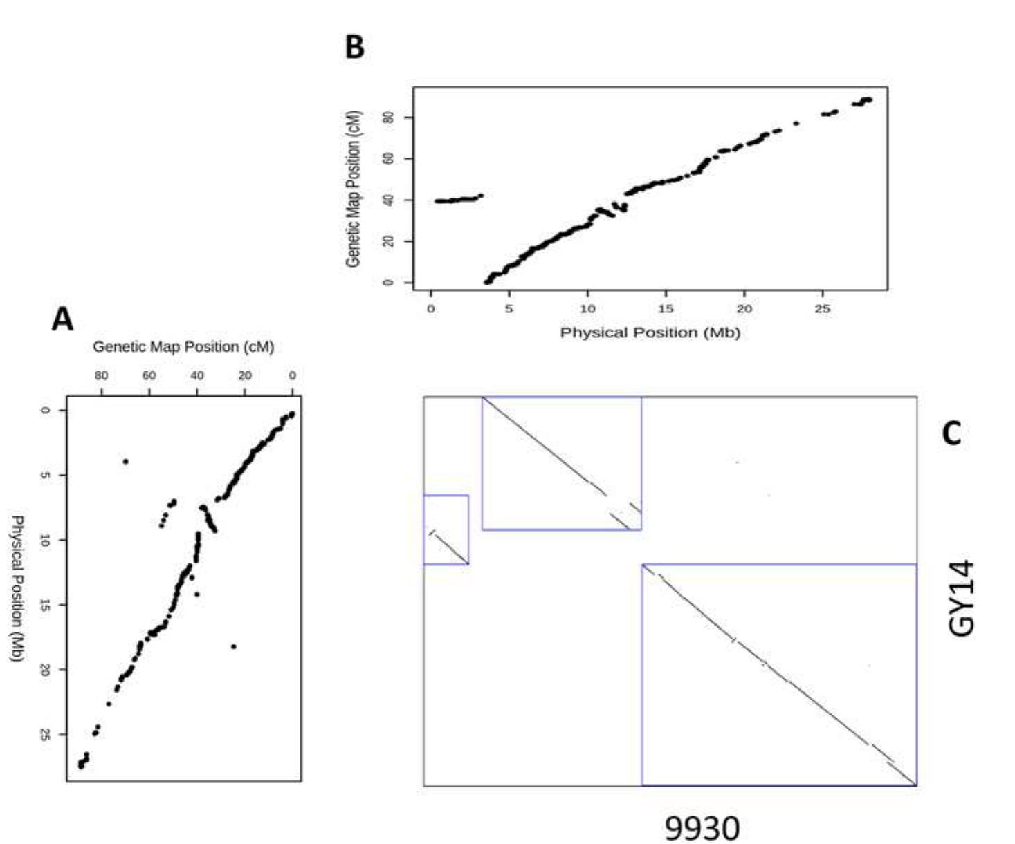 Genetic and physical map comparison for chromosome 5.