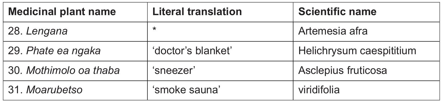 (PDF) NAMING OF BASOTHO MEDICINAL PLANTS: SEMANTIC CONNECTION TO THEIR ...
