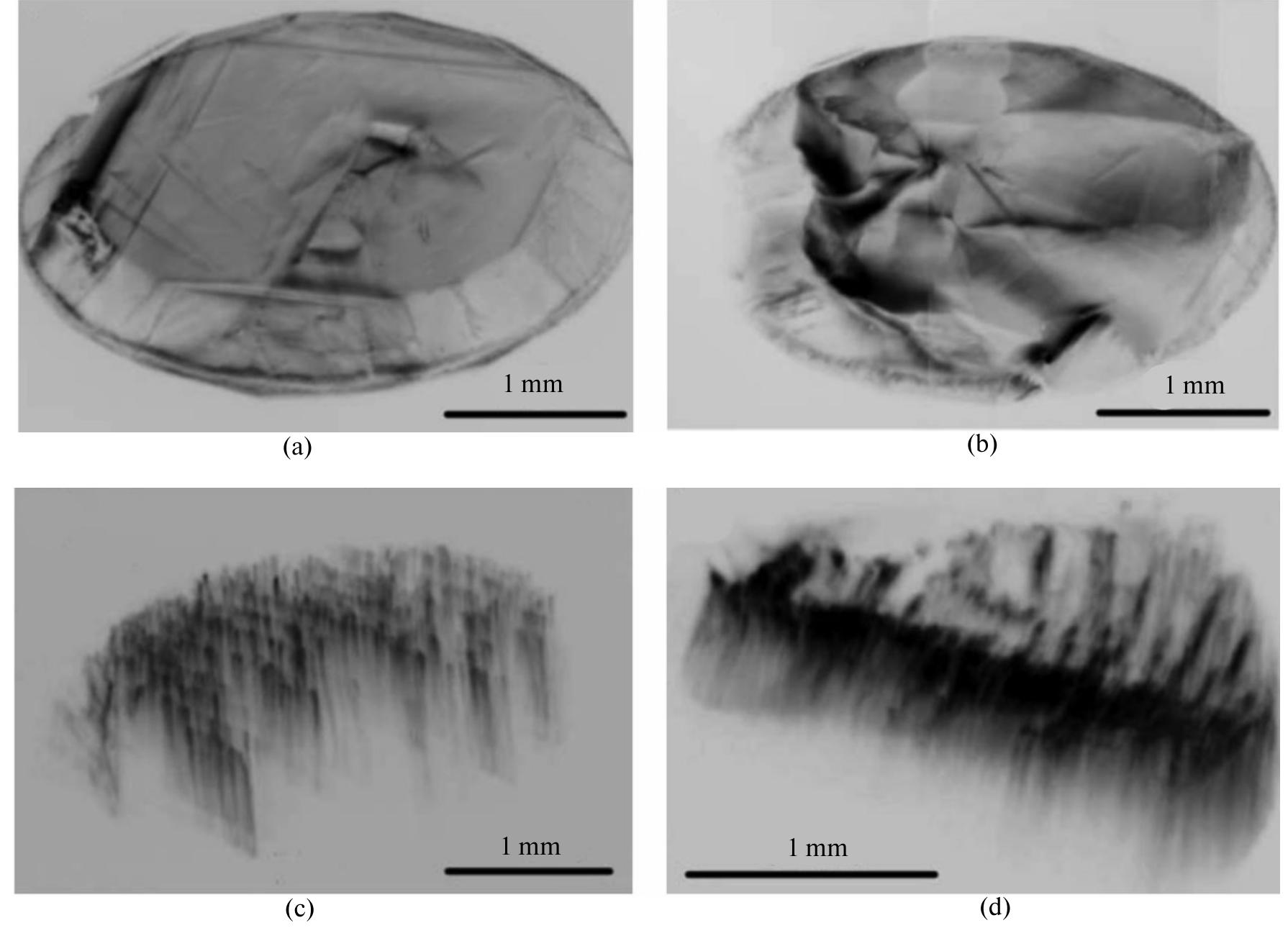 {004} projection topography images of natural and
