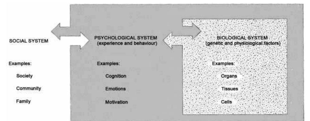 (PDF) Biopsychosocial Model – The Integrated Approach to Health and Disease