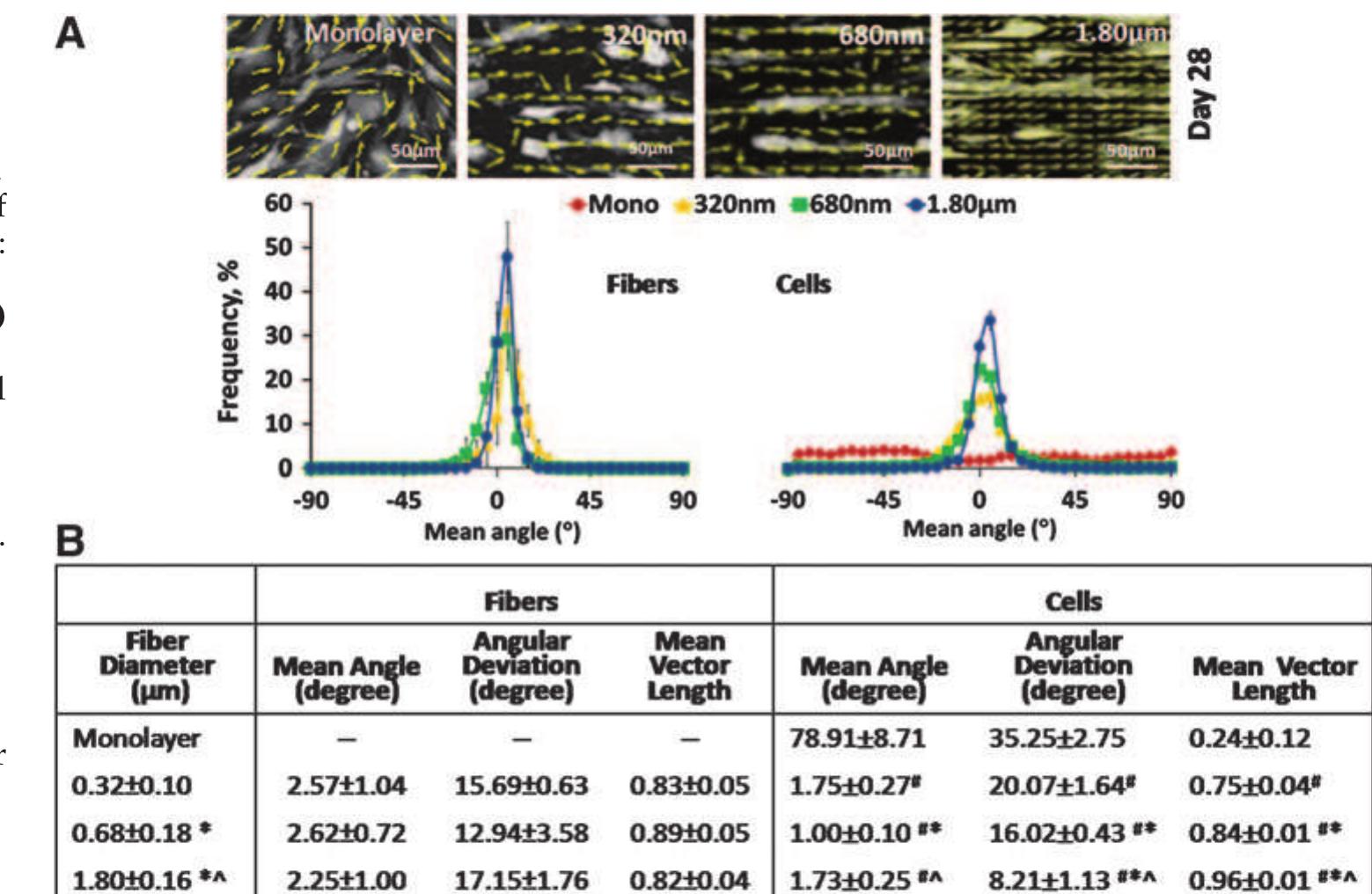 This study investigates the effects of the substrate fiber