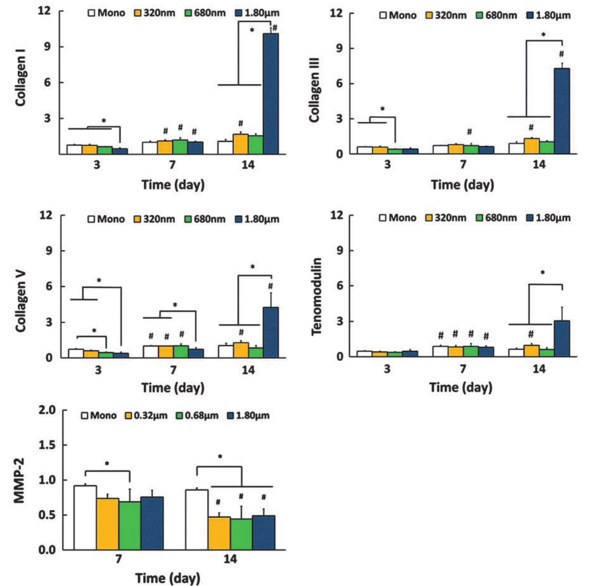 Expression of col i, col iii, col v, tenomodulin, and matrix