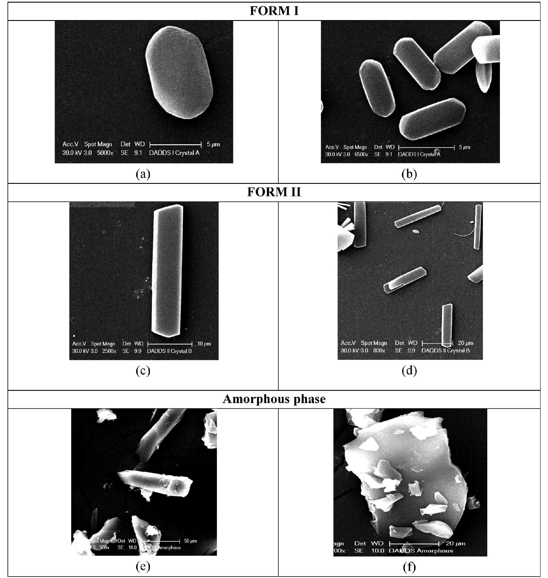 Sem images of the form i (a,b), form ii (cd), and amorphous