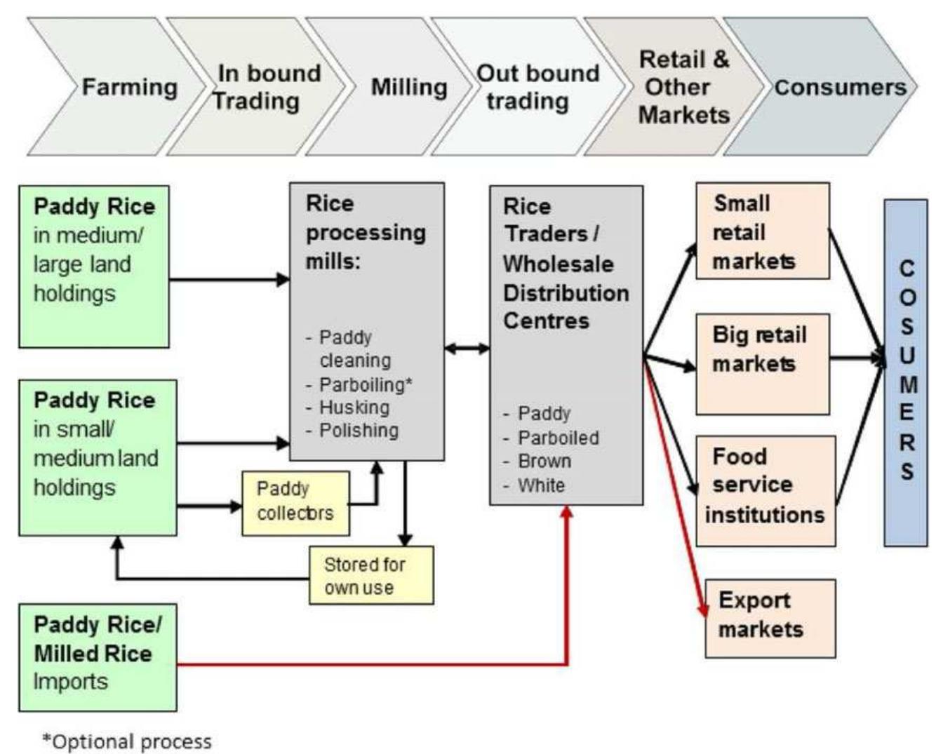 Conceptual Diagram Of The Rice Supply Chain In A Rice