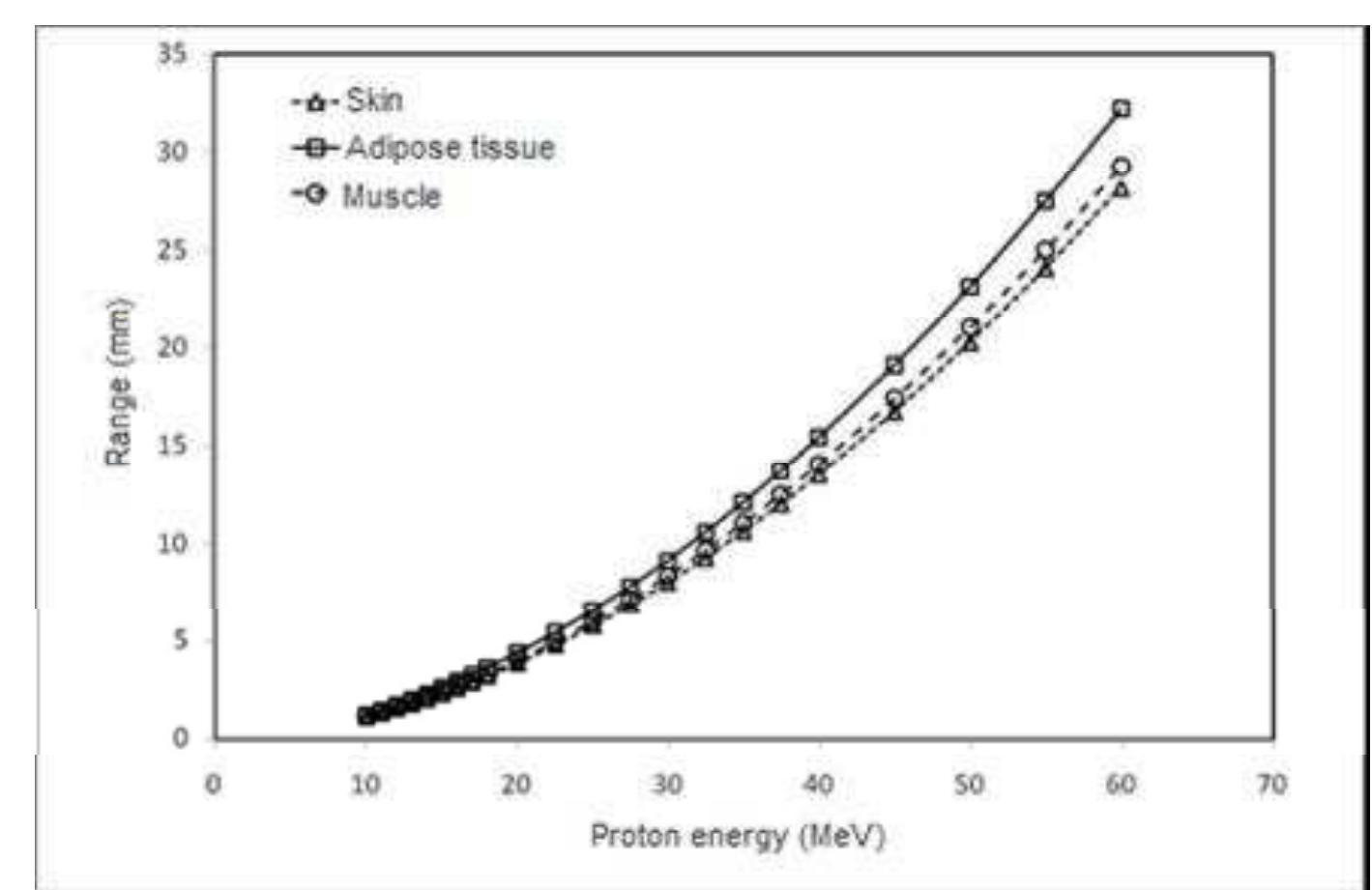 Range of protons in the skin tissue, adipose tissue and