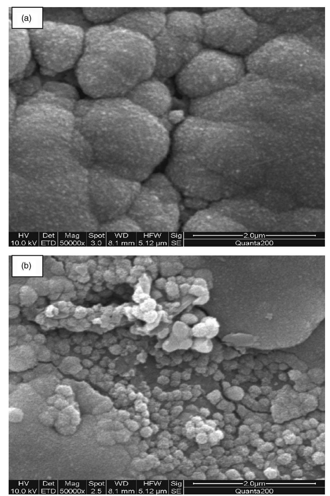 Sem images of electrodeposited (a) mno, and (b) mno,(s) on
