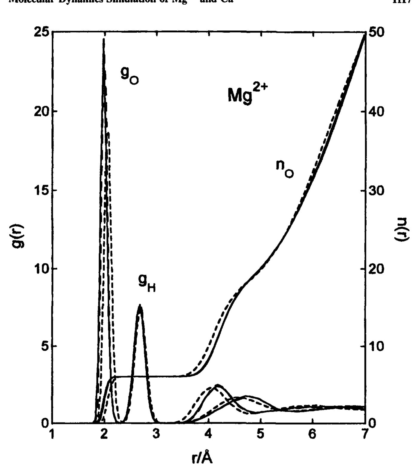 Lon—oxygen and ion—hydrogen radial distribution functions