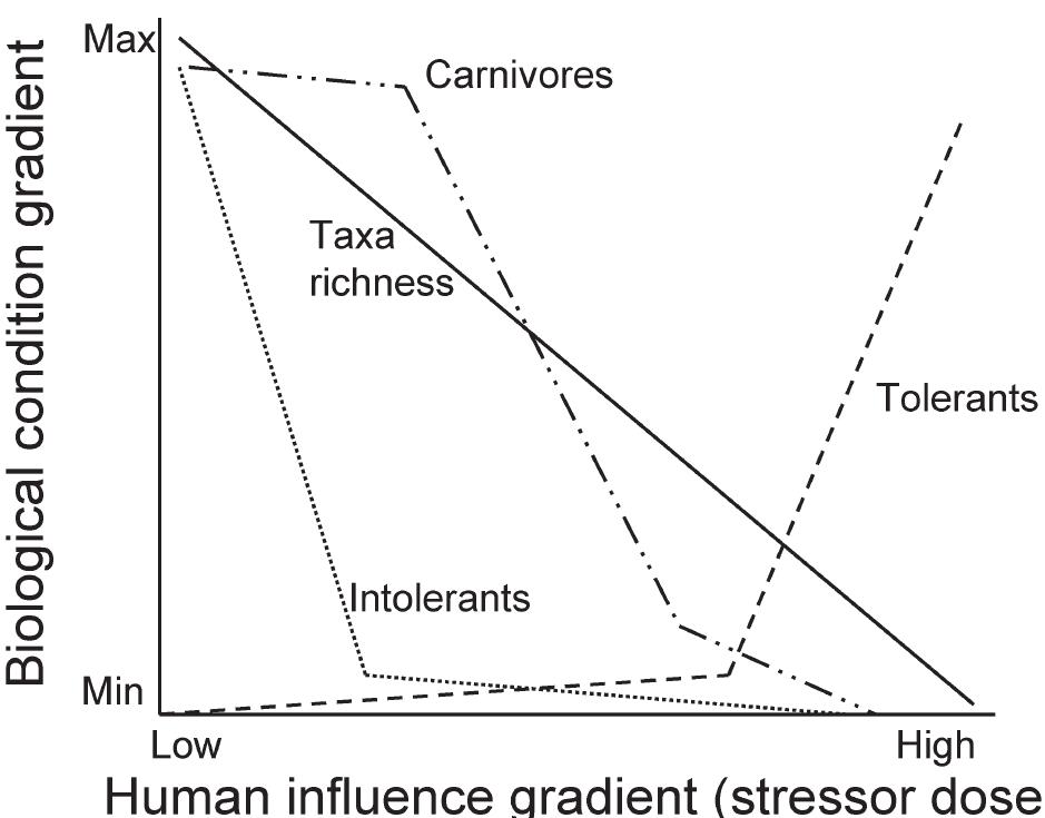 An ecological dose-response curve showing the relationship