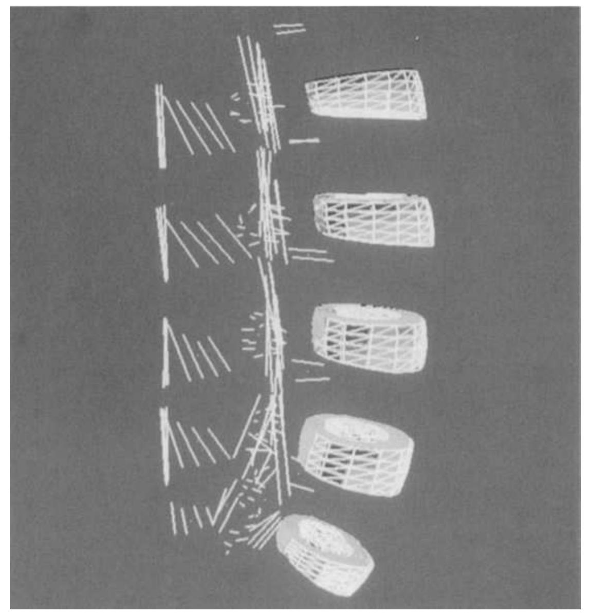 The lateral view of the whole lumbar spine model without the