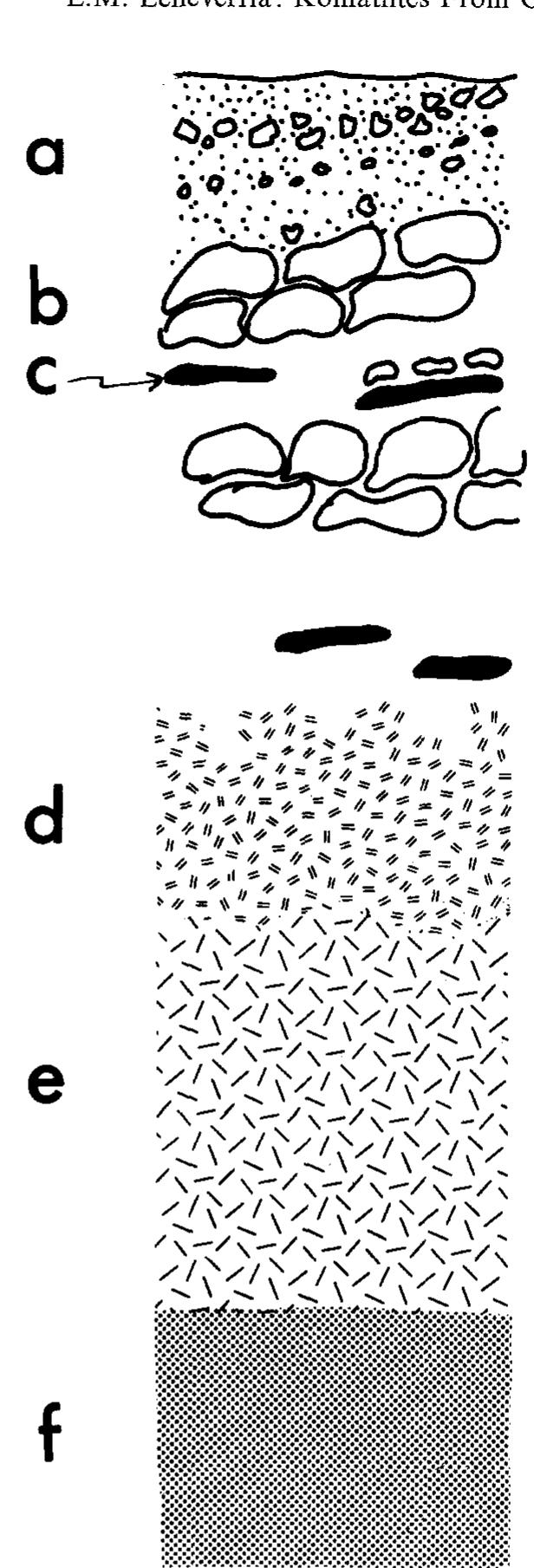 Schematic stratigraphic section of the gorgona igneous