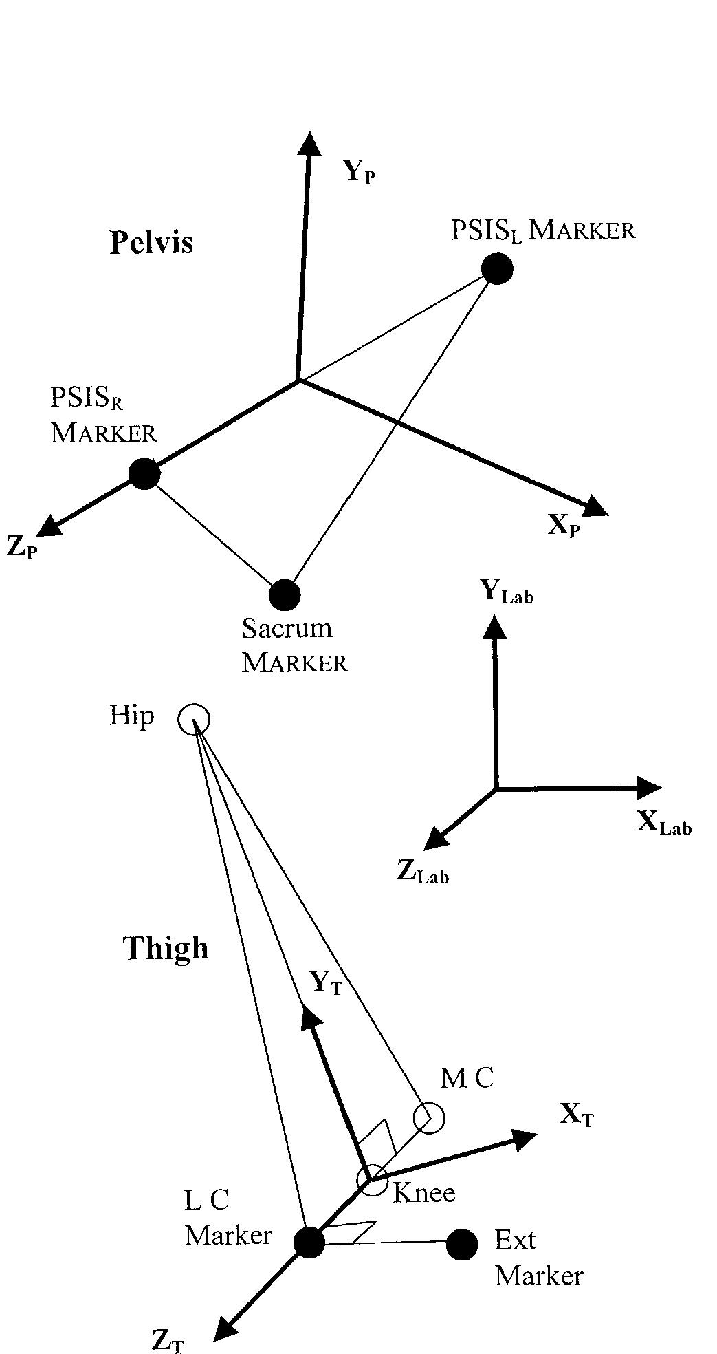 Pelvic kinematics markers: left and right posterior iliac