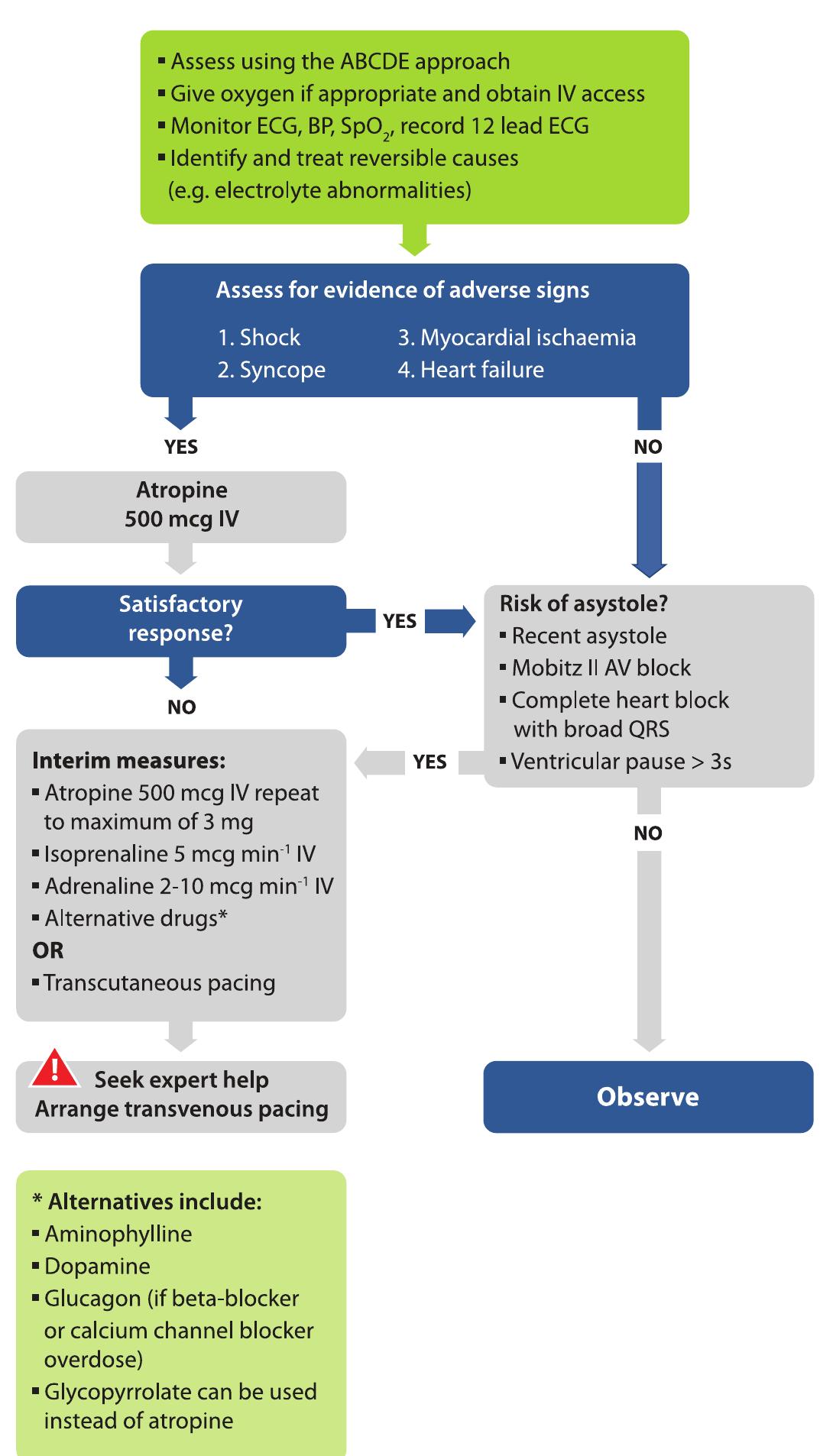 9. bradycardia algorithm. abcde - airway, breathing