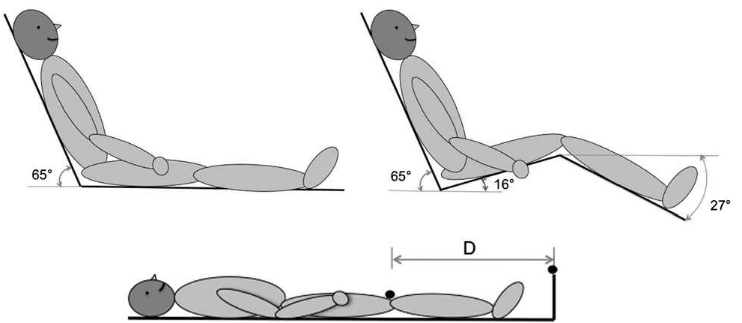 Schematic representation of the upright (raised) bed and