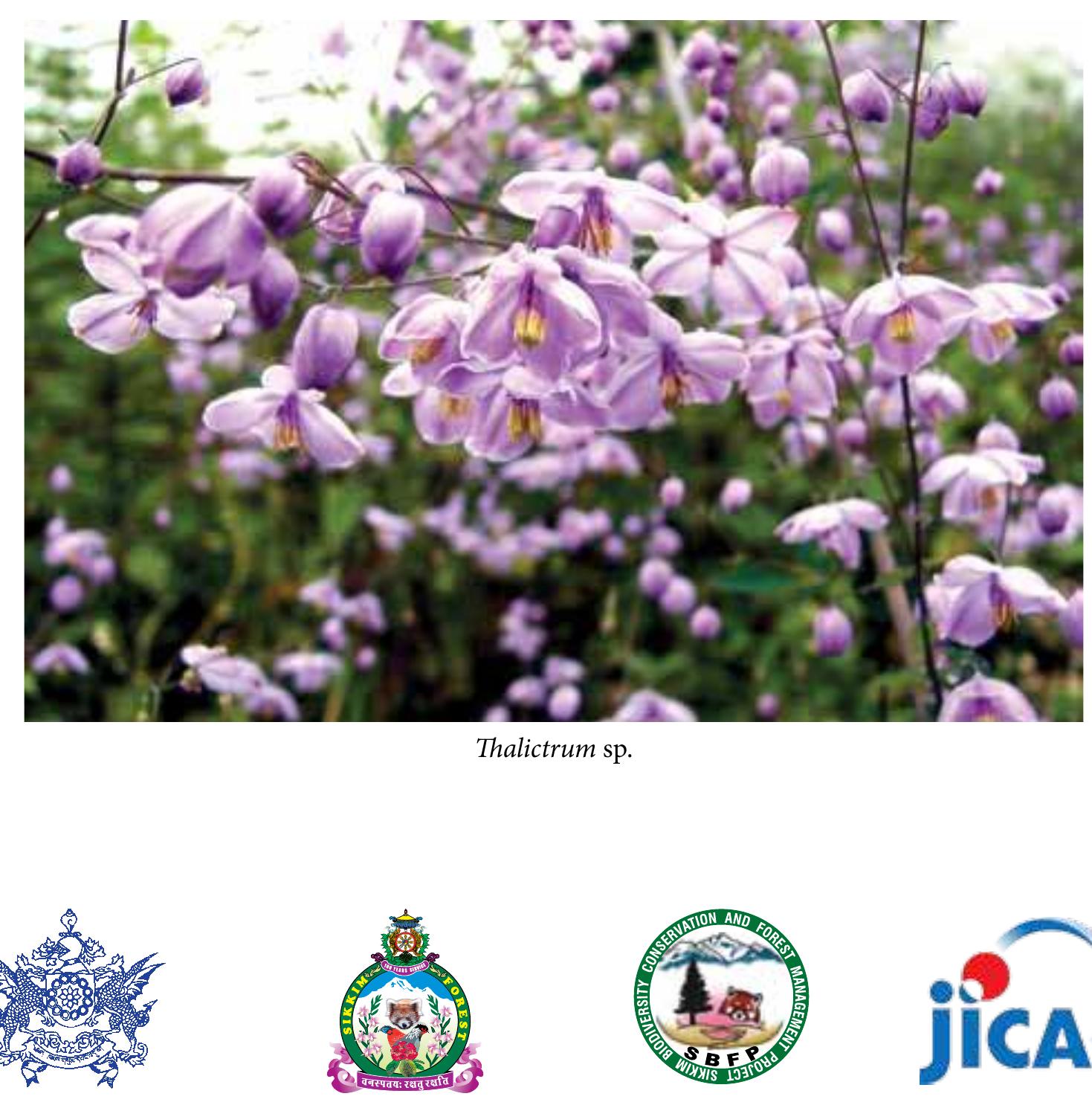 Sikkim biodiversity conservation and forest management
