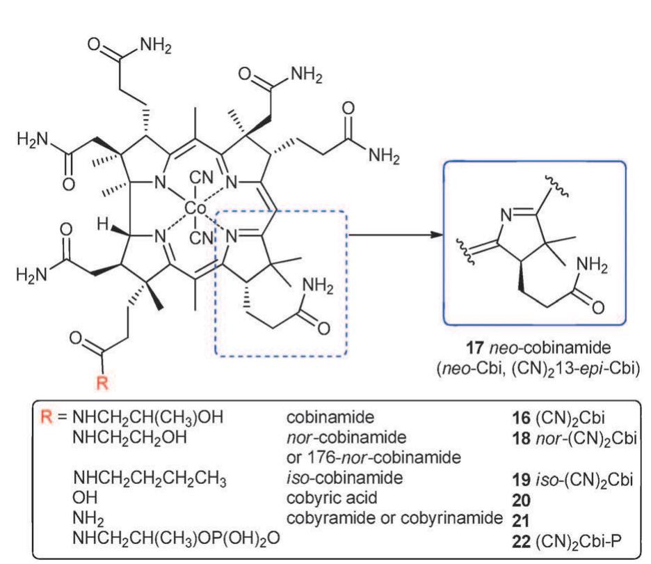 Nomenclature of cobinamide and its derivatives. '"!° fig. 2.