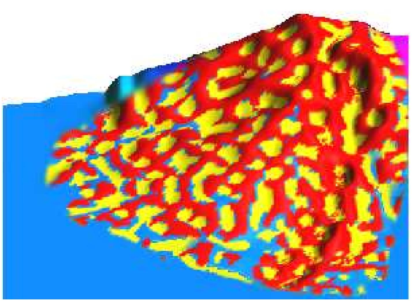 Representation of convex, concave and planar zones of the