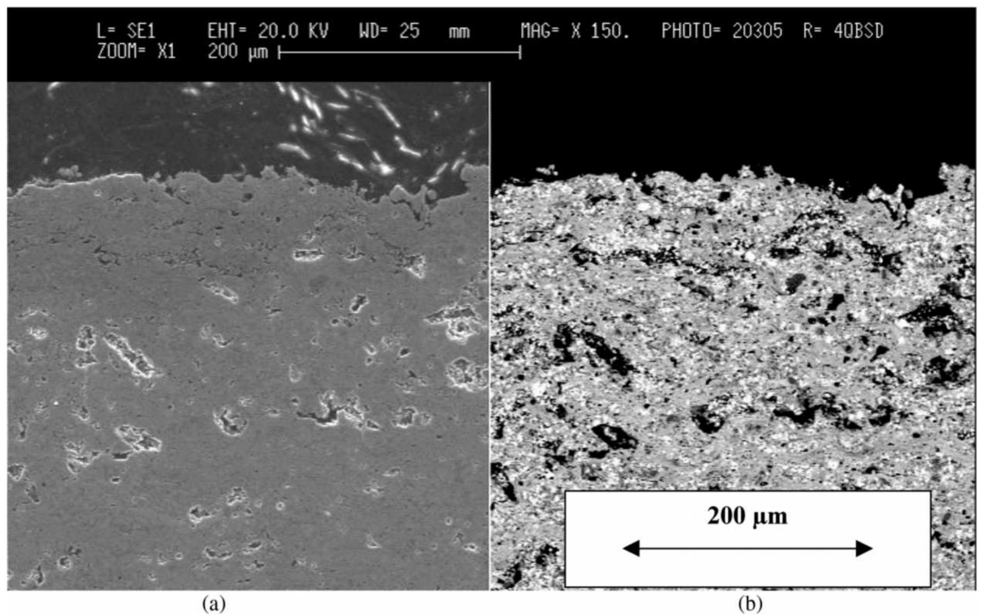 Low magnification sem using secondary electrons detector (a)