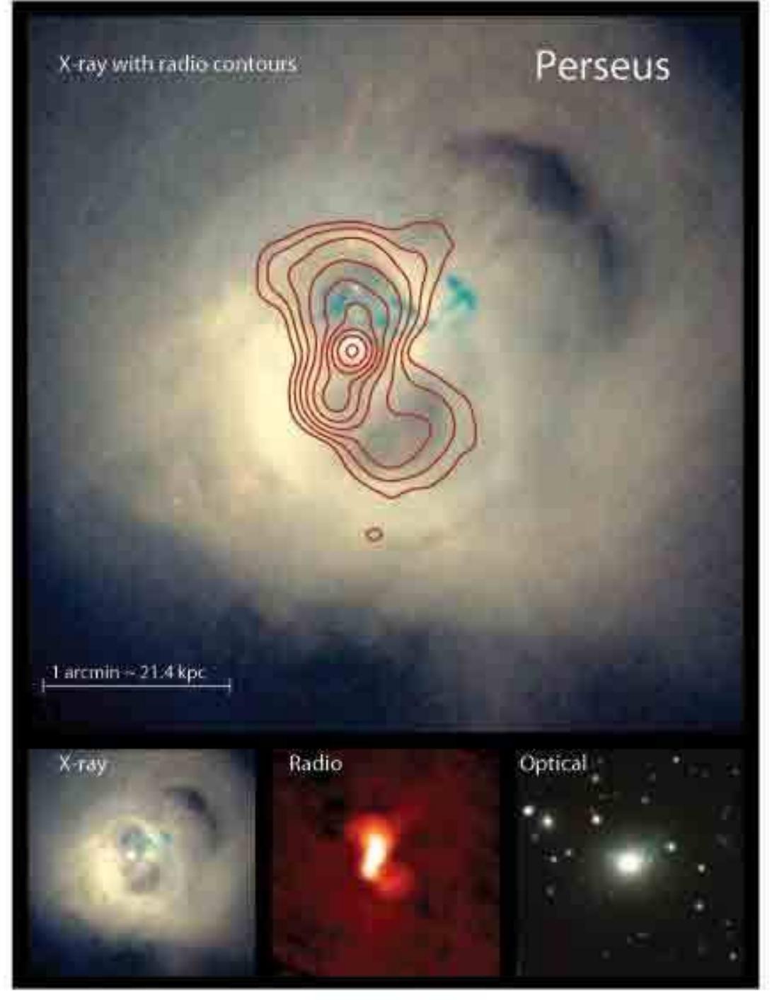 Optical, radio and x-ray images of the perseus cluster. the