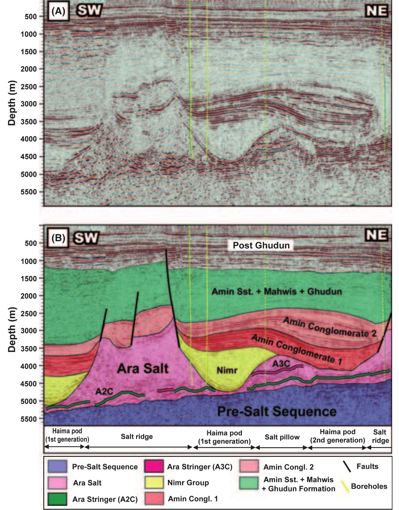 (a) un-interpreted seismic line crossing the study area. (b)
