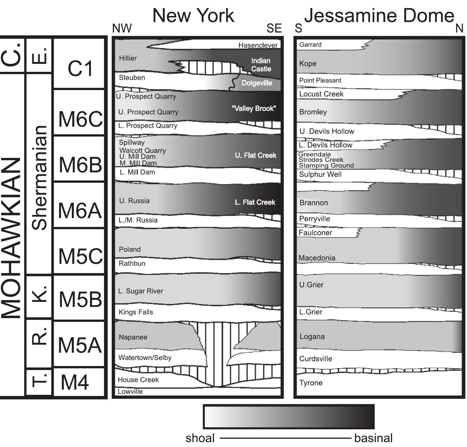 Revised schematic chronostratigraphic chart for upper