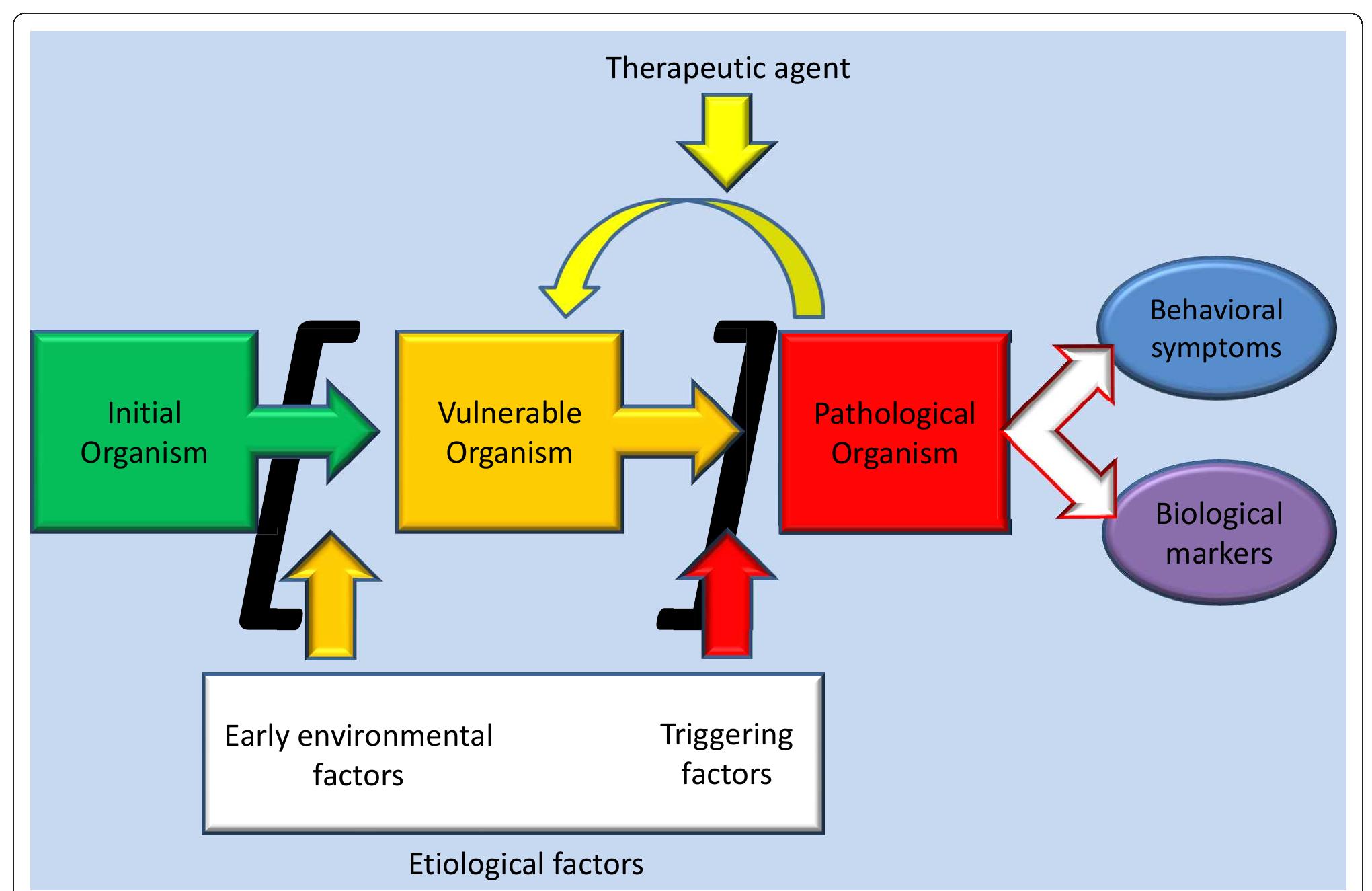 A framework for animal models. animal models are not just