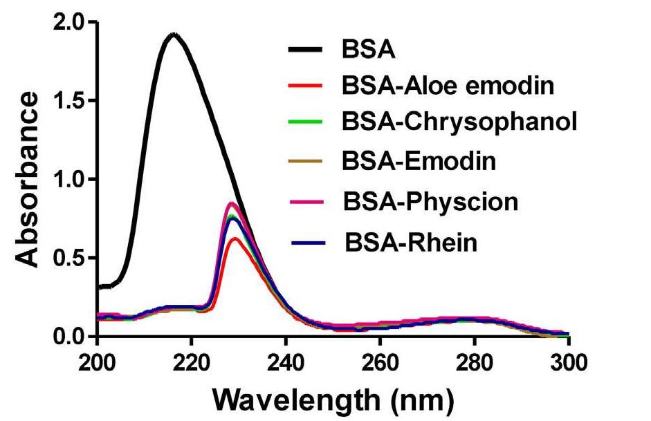Uv-vis absorption spectra of 1.0 x 10~> m bsa in the