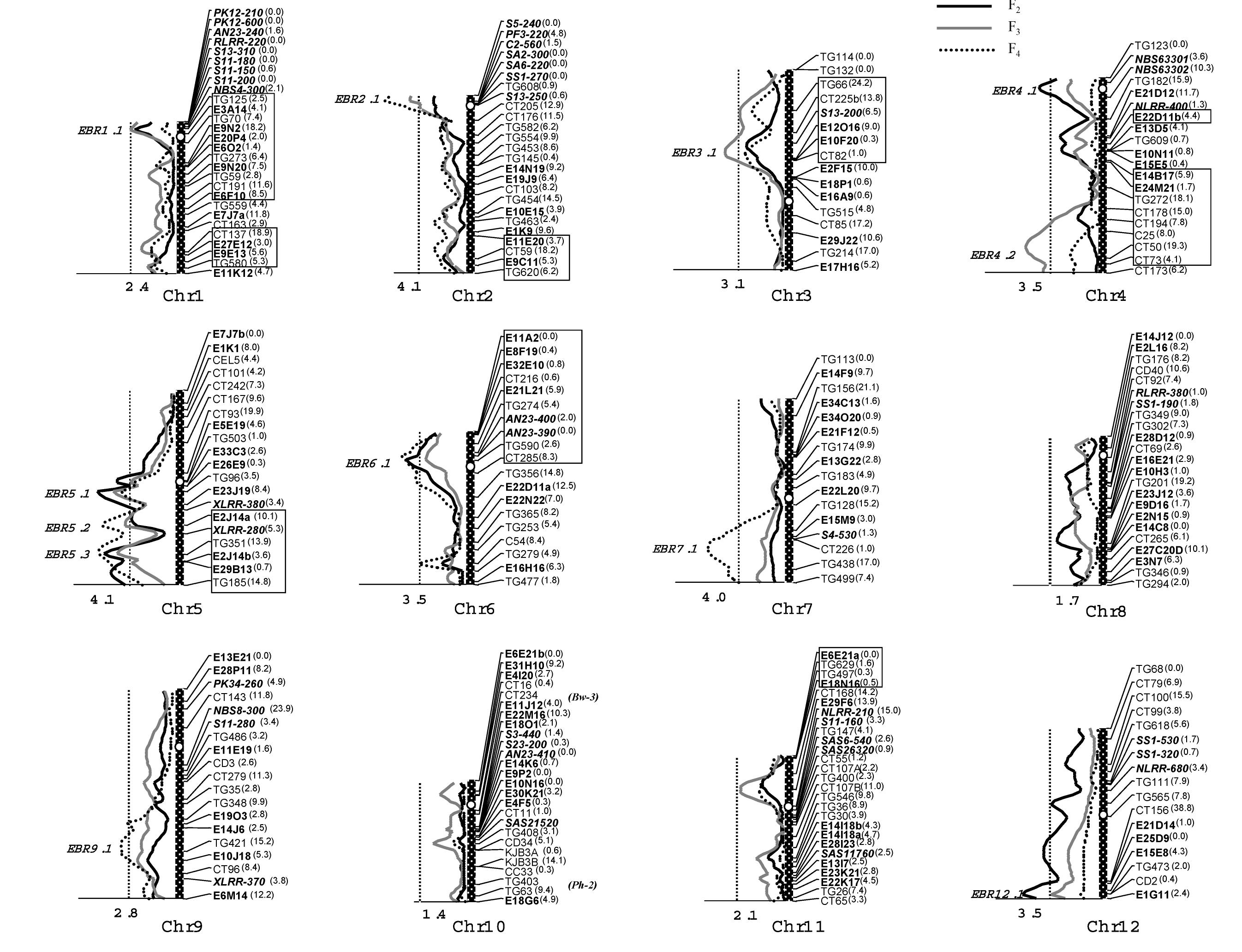 A Linkage Map Of The 12 Tomato Chromosomes Constructed Based