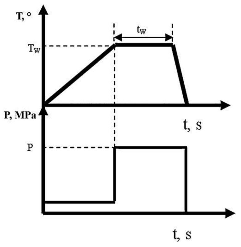 Sequence diagram of the dw process: the time dependence of