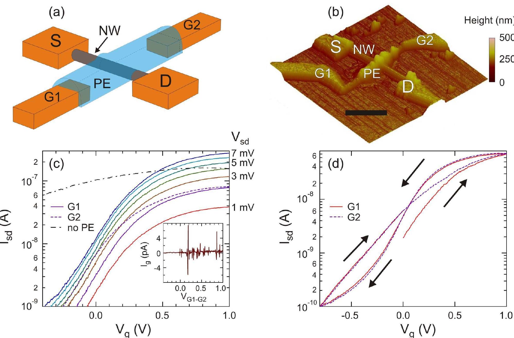 (a) schematic and (b) atomic force micrograph of a polymer