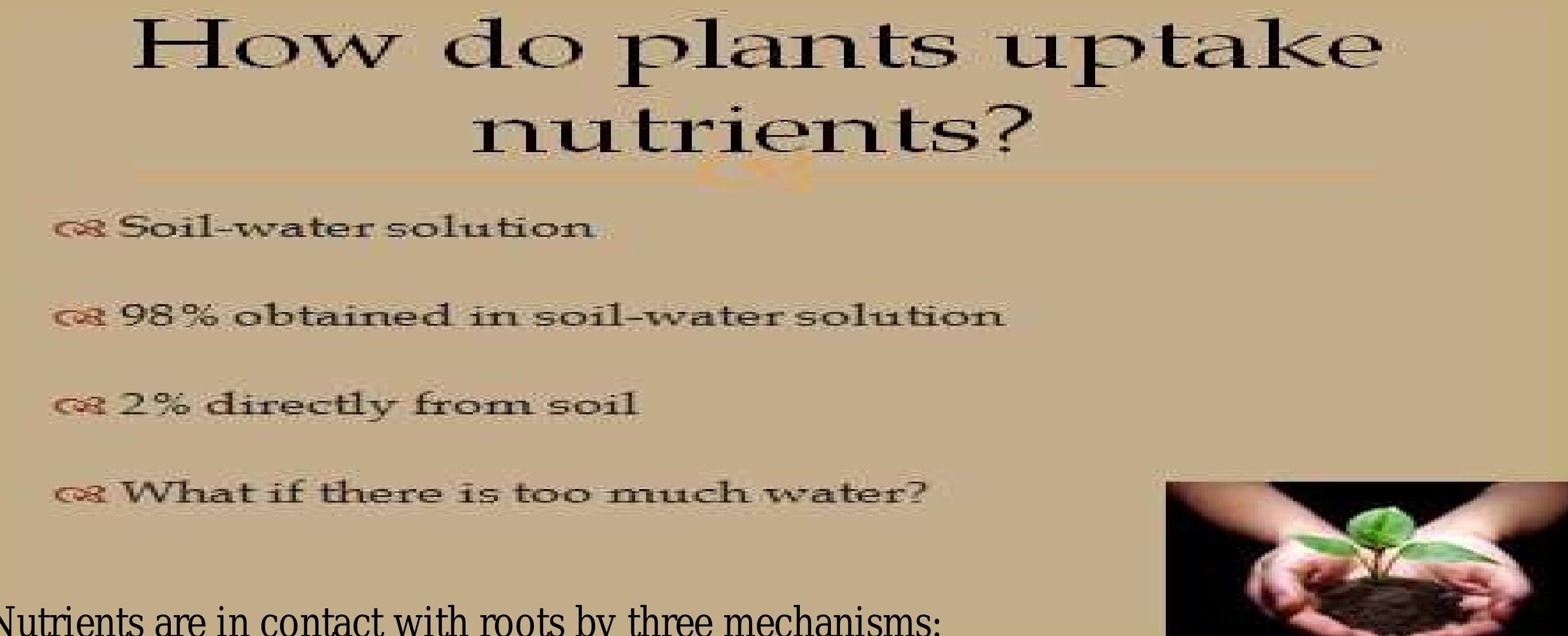 (PDF) A hand book of plant physiology for BSc. students