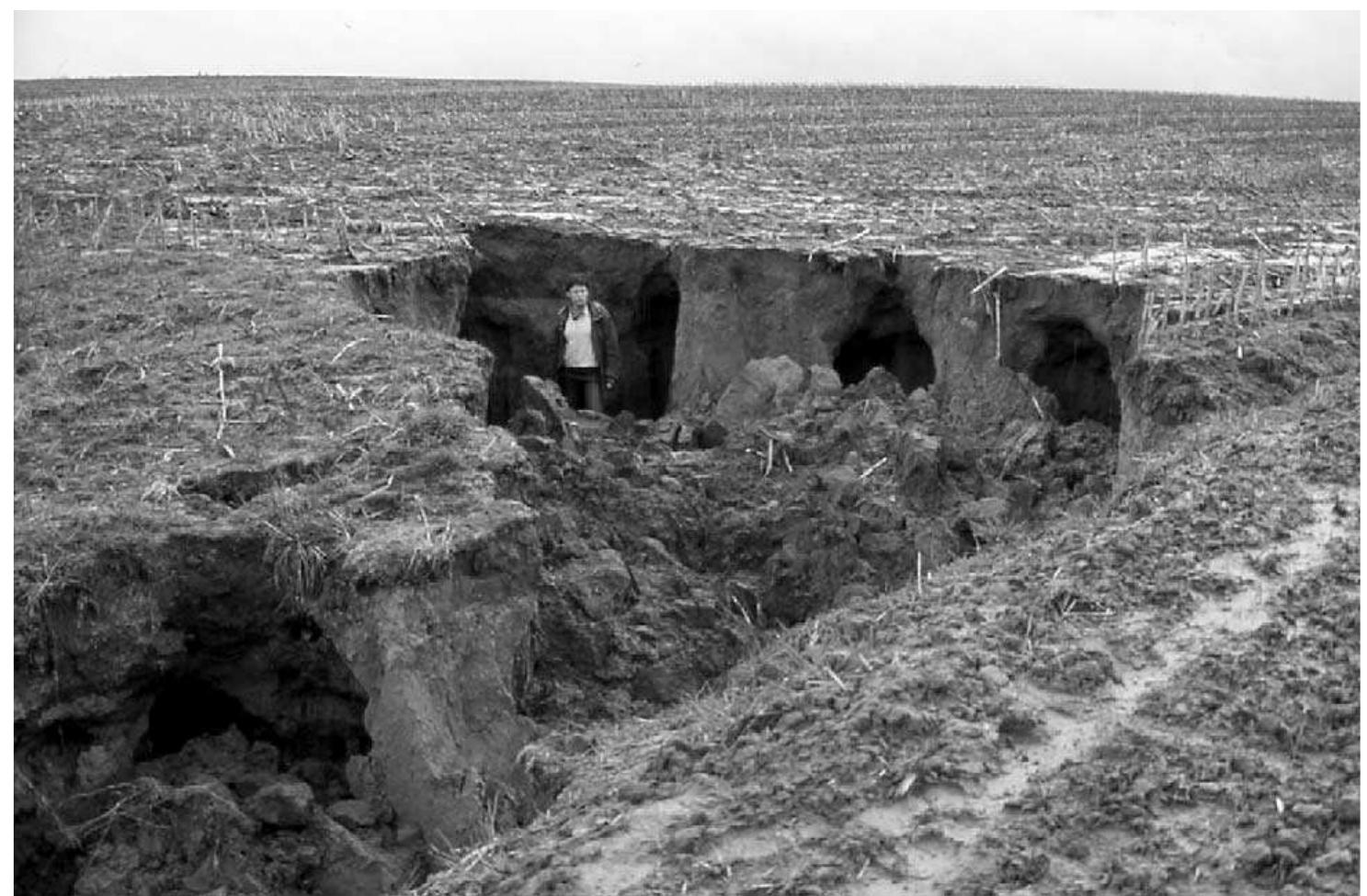 Permanent gully (up to 2 m deep) which developed as an