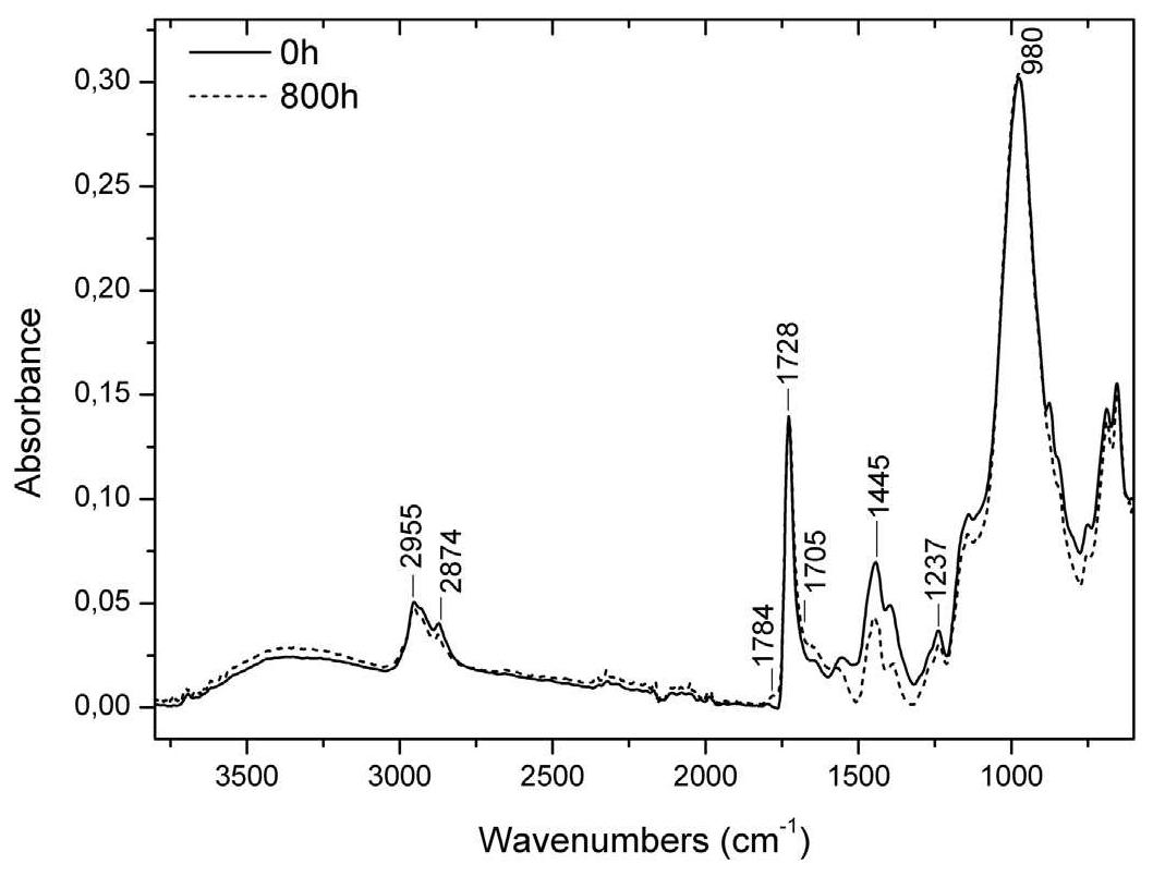 Ftir spectra from the blue acrylic sample (ultramarine blue,