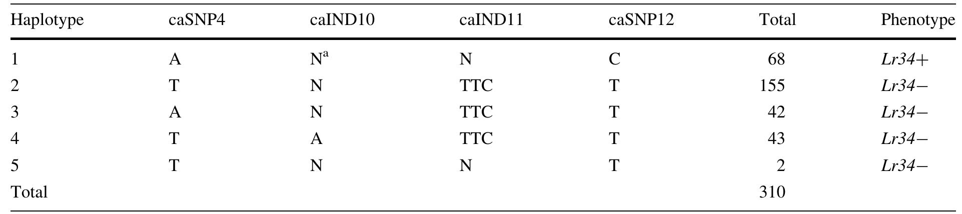 Genotypes of the five major lr34 haplotypes of the world