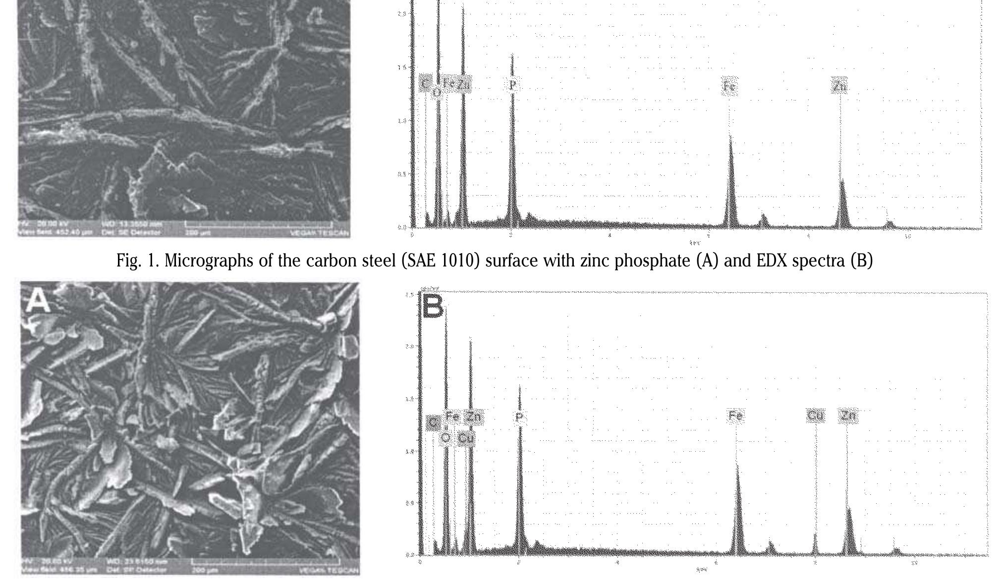 Sem image of the zinc phosphate layer with cu (a) and edx
