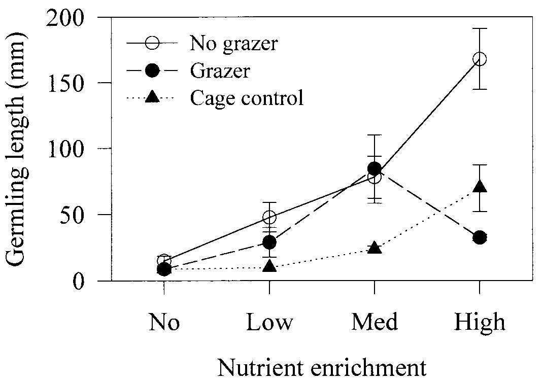 Effects of grazers and nutrient enrichment on macroalgal