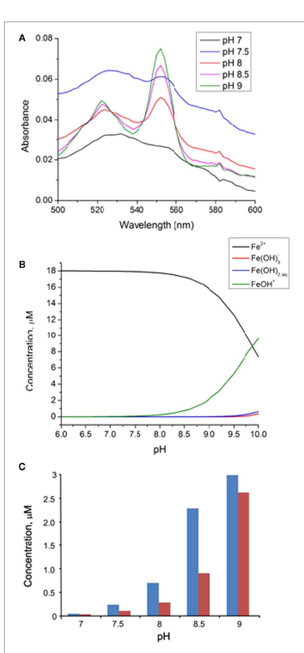 | (a) absorption spectra of mtoa (0.4 4m) after the