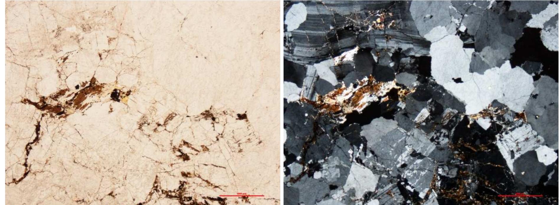 2 thin section photomicrographs of dandahra creek