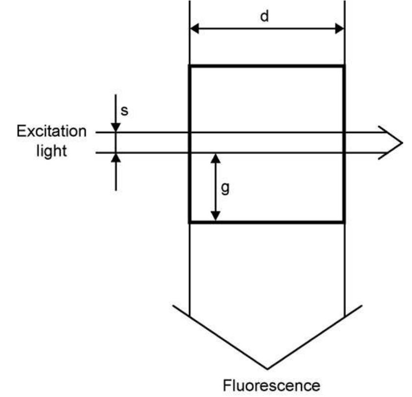 Cuvette dimensions for cg procedure (adapted from gauthier