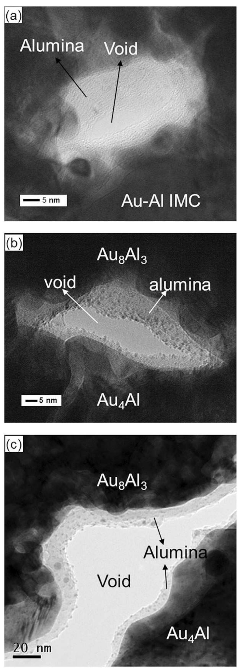 Evolution of voids and the neighboring oxide layer in au-al