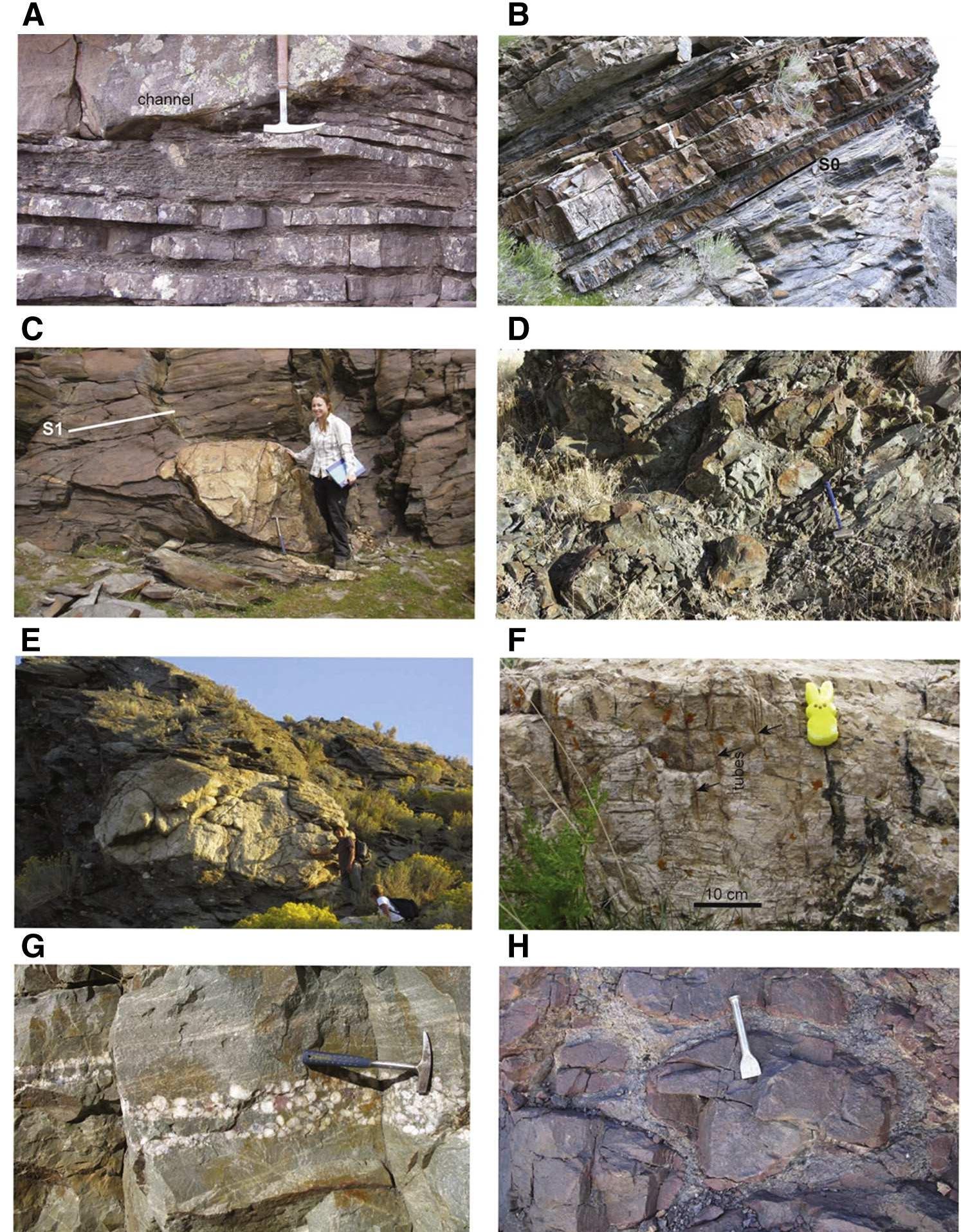 Outcrop characteristics of key rock types. a. interbedded
