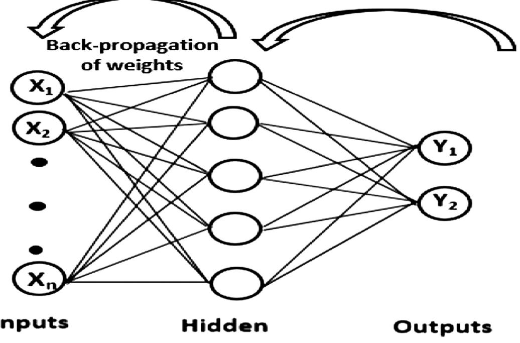 Architecture of a multilayer perceptron neural network with