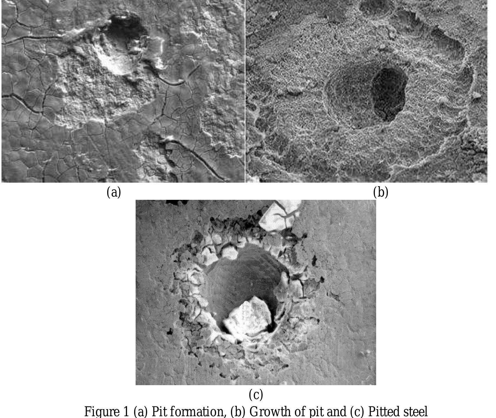 Pitting corrosion evaluation and inhibition of stainless steels: A review