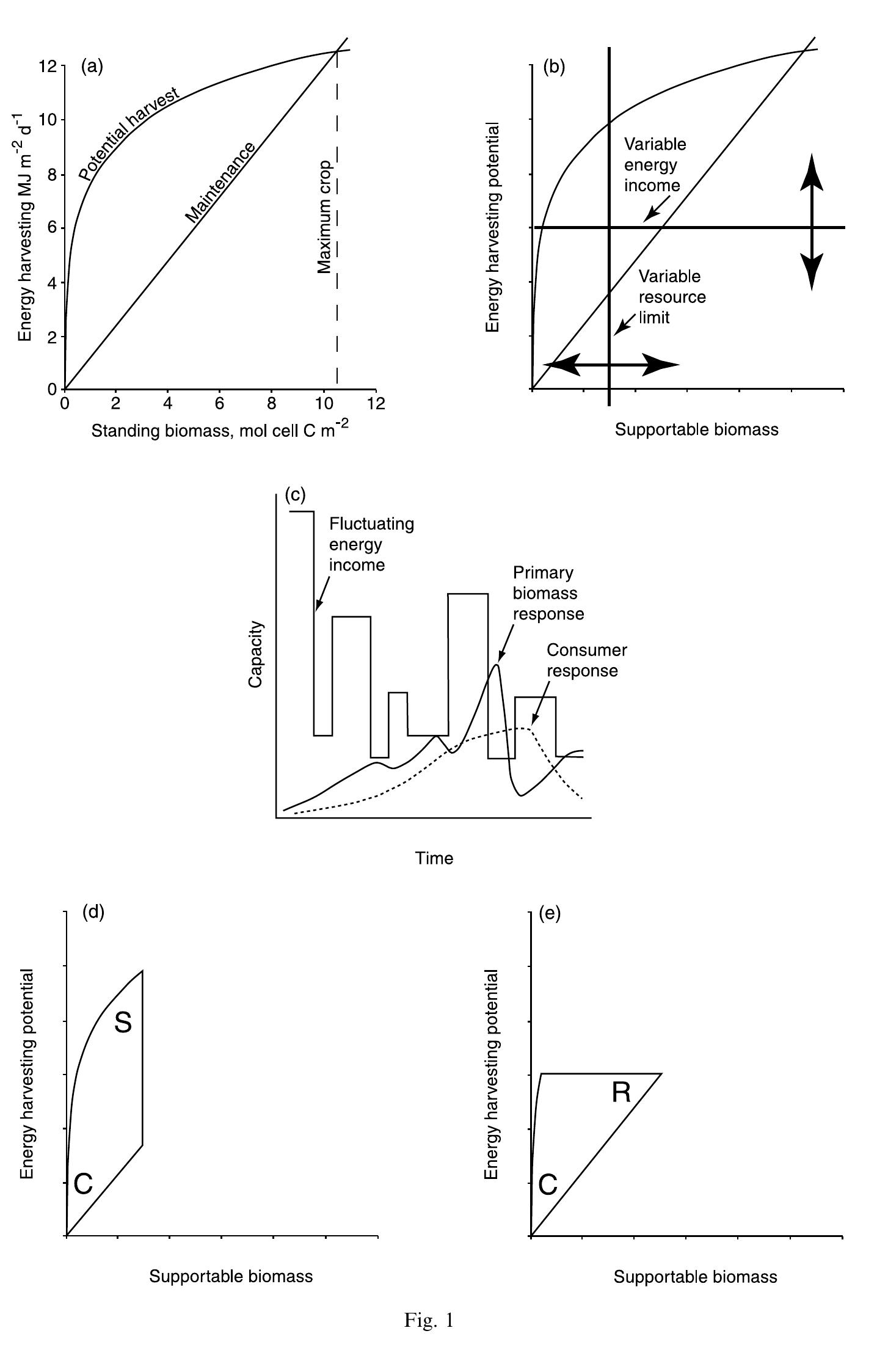 Figure 1 - Ecological pattern and ecosystem theory