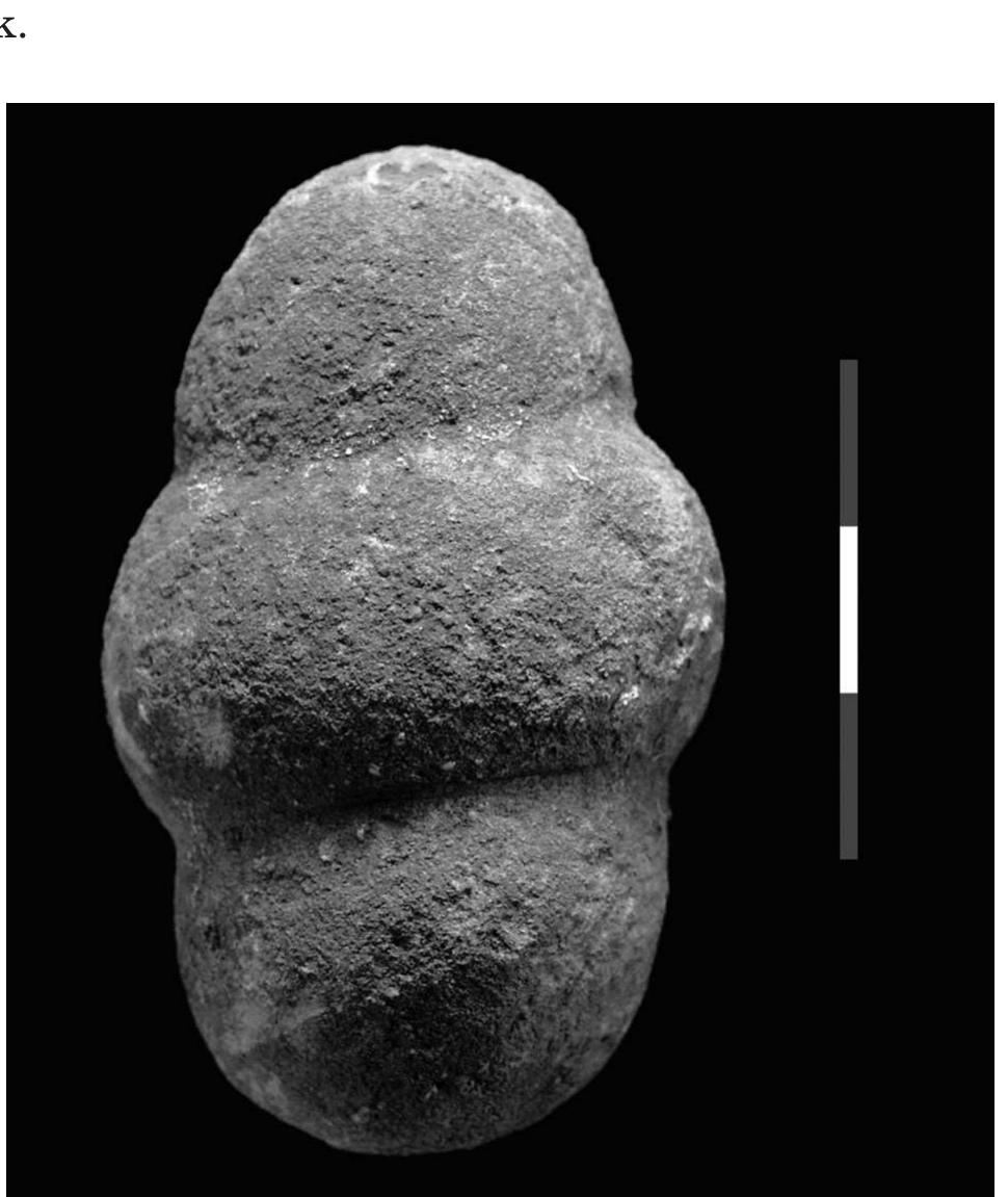 Possible schematic figurine.